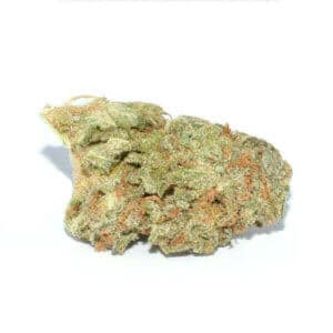 Power Plant – Energizing Sativa Cannabis | Buy Bulk & Retail Worldwide