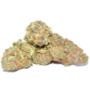 Power Plant – Energizing Sativa Cannabis | Buy Bulk & Retail Worldwide