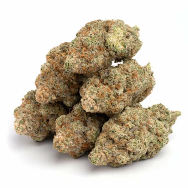 Buy GMO Cookies – Potent Indica Hybrid Cannabis In Bulk & Retail