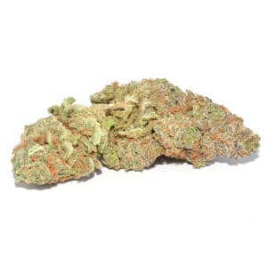 Power Plant – Energizing Sativa Cannabis | Buy Bulk & Retail Worldwide