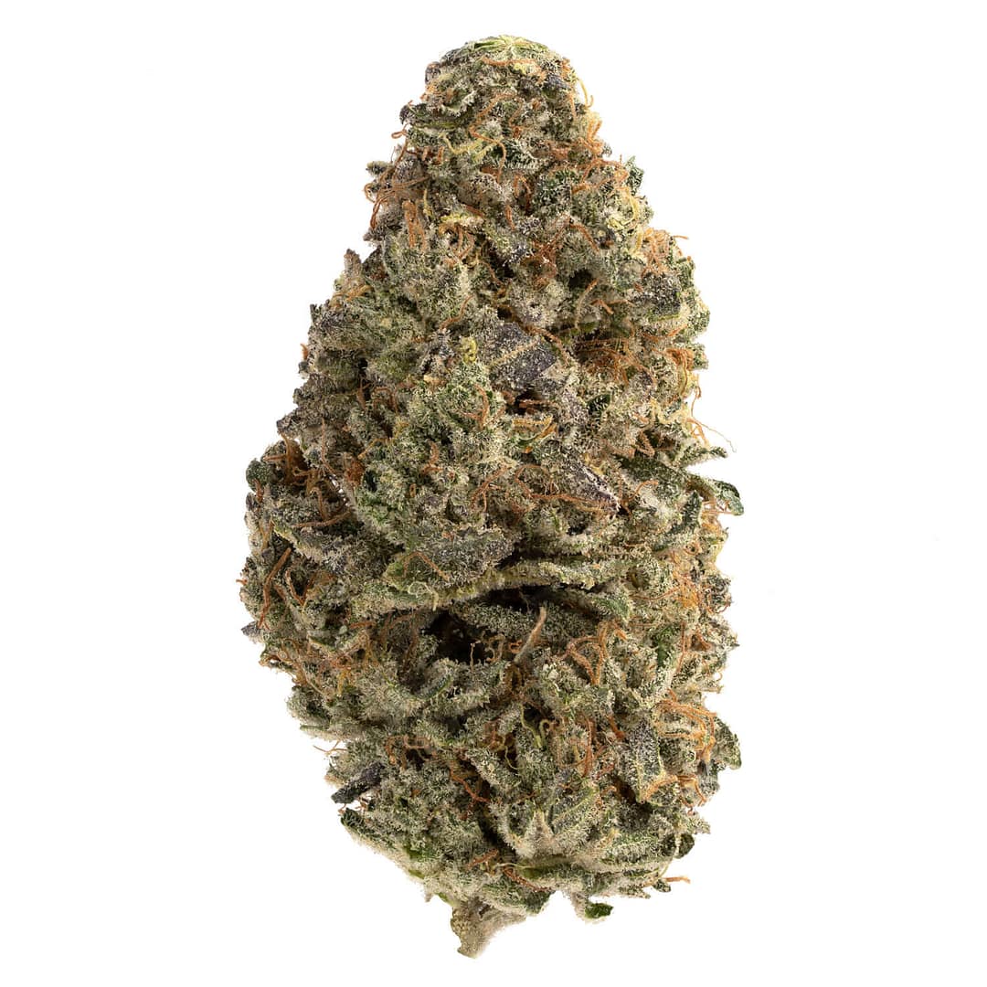 Buy Pink Champagne – Indica-Dominant Cannabis In Bulk & Retail