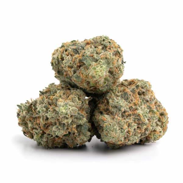 Buy Durban Poison – Pure Sativa Cannabis In Bulk & Retail
