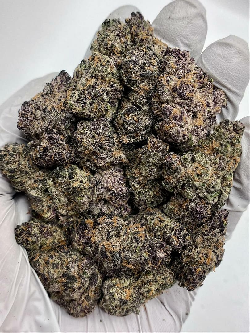 Premium Blockberry THCa Flower Wholesale | Bulk THCa, Hemp & Cannabis